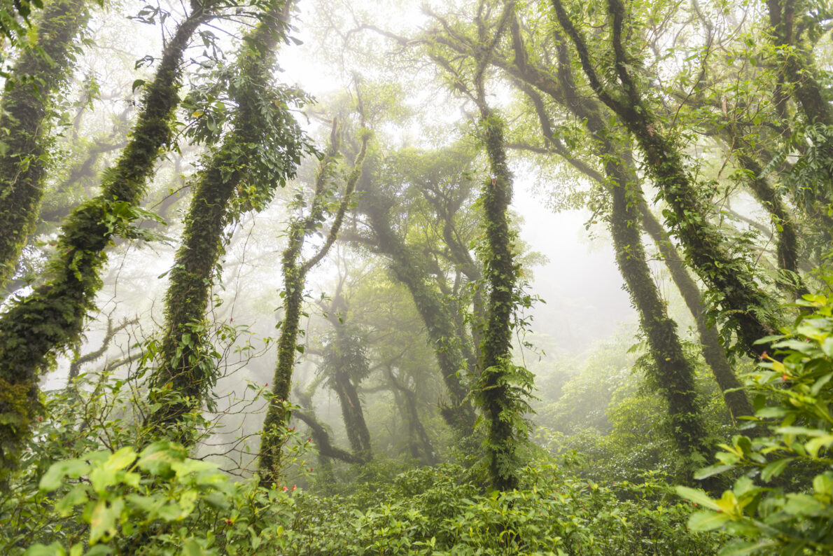 The Big H: Humidity and what it means for Lyric™ | Audiology Blog