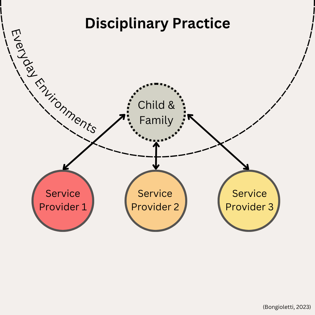 Figure 2: Disciplinary Practice Diagram