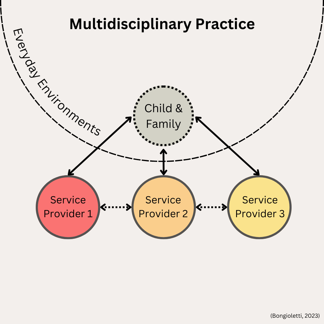 Figure 3: Multidisciplinary Practice Diagram