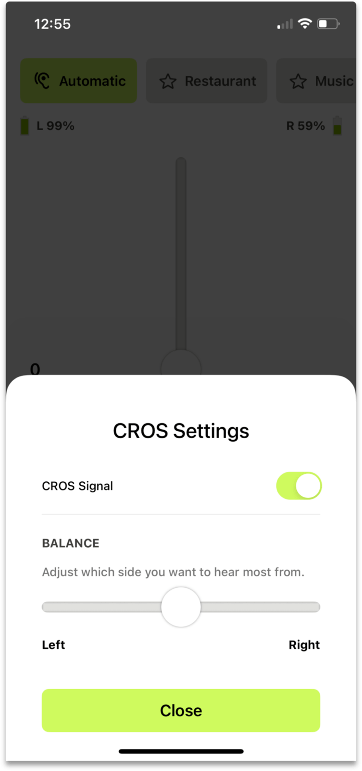 Figure 6: Screenshot of available CROS adjustments including a mute ...